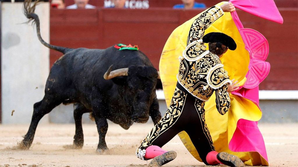 Corrida de toros desde Montoro