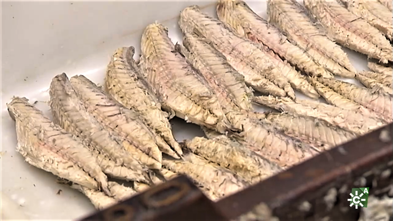 La reducción de capturas de caballa