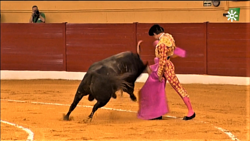 Televisión - Toros en Canal Sur