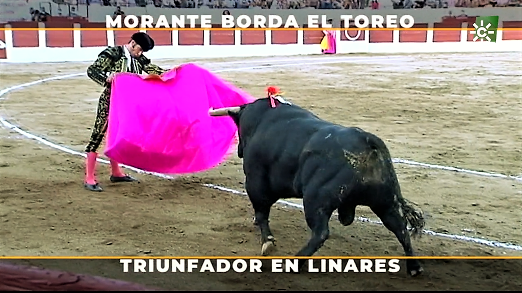 Toros | Canal Sur