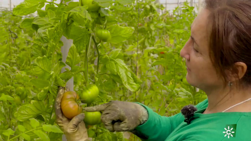 Campechanos | ¿Cuál es la diferencia entre explotación ganadera ...