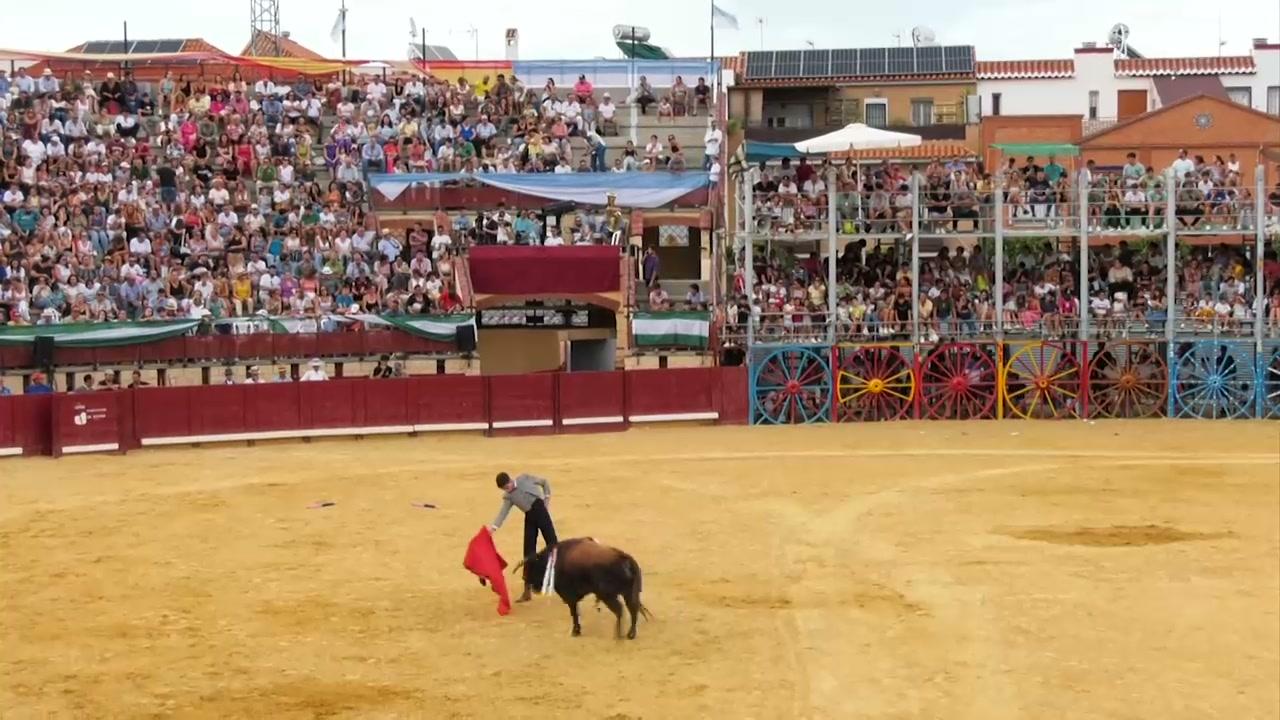 Andalucía de fiesta | La afición a los toros protagoniza las ...