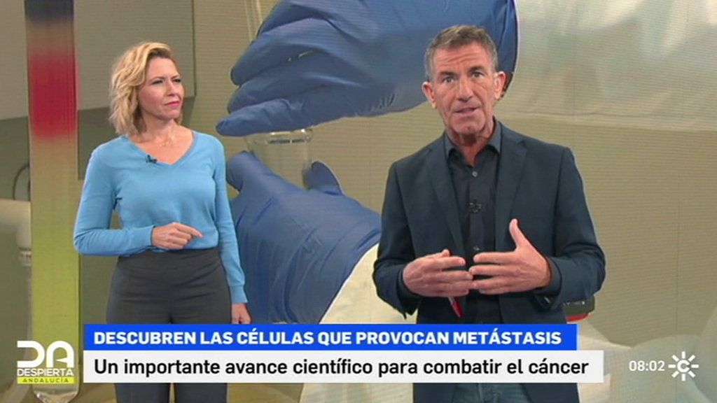 Investigadores de Barcelona identifican las células que causan metástasis en el cáncer de colon