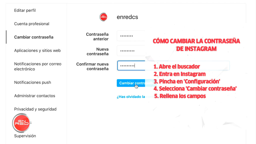 EnRed | Aprende, paso a paso, cómo cambiar tu contraseña de Instagram
