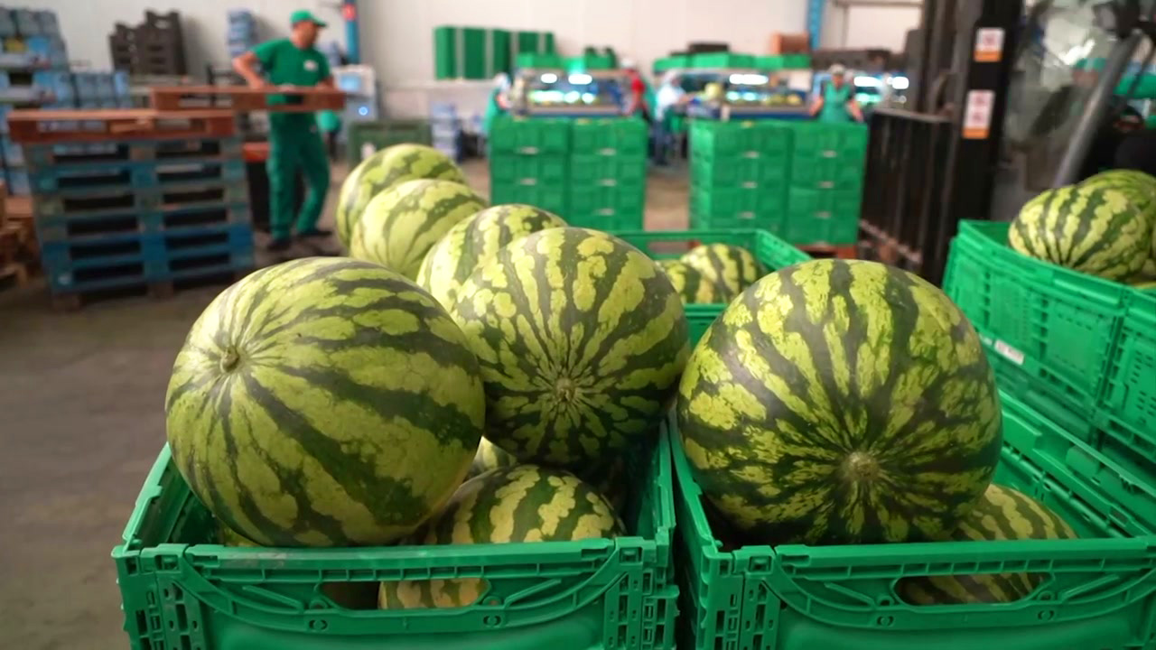 Cometelo | Canal Sur