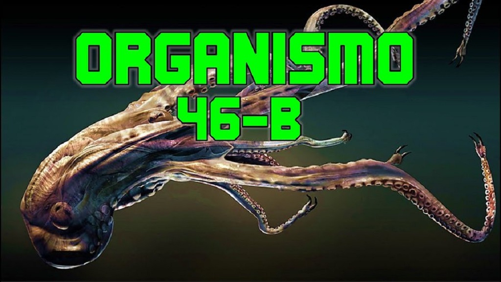 El organismo 46B