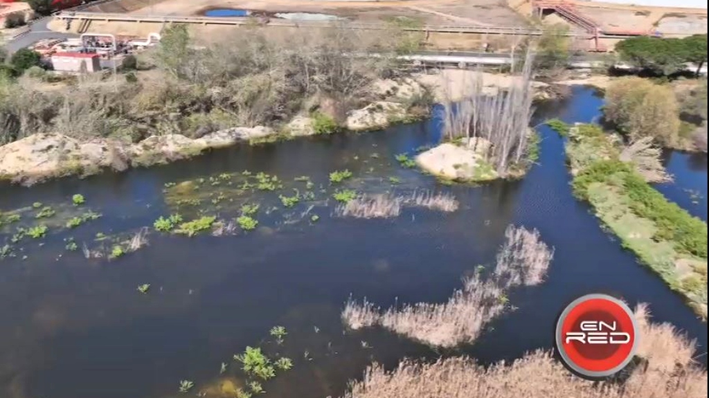 Boyas inteligentes para conocer el estado de los humedales, en EnRed