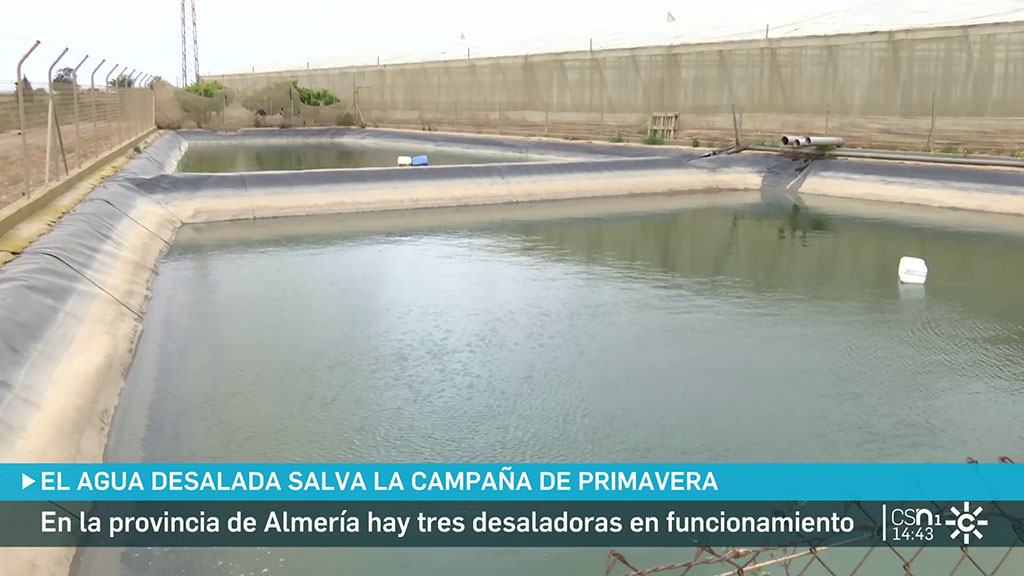El agua desalada salva la campaña de primavera en Almería