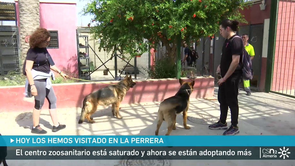 La perrera de Almería, pionera en la adopción de perros