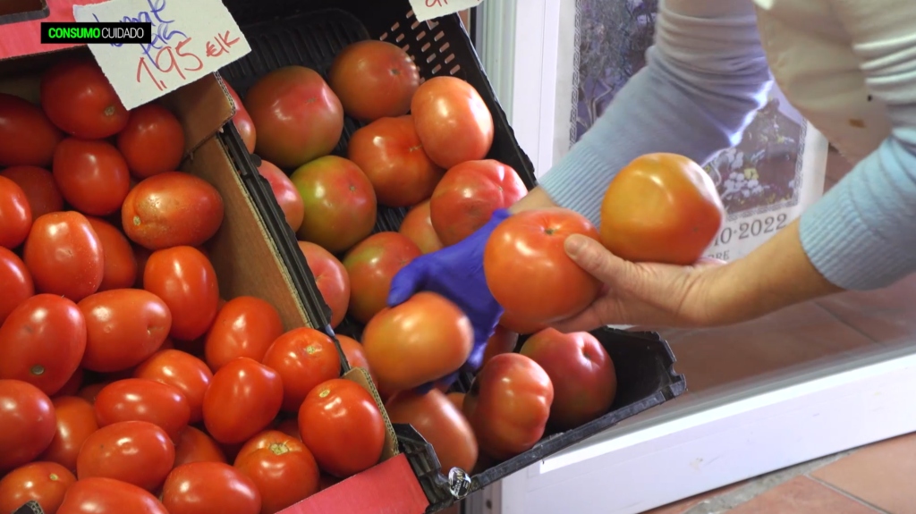 Las rutinas saludables y la correcta alimentación en verano, en Consumo Cuidado