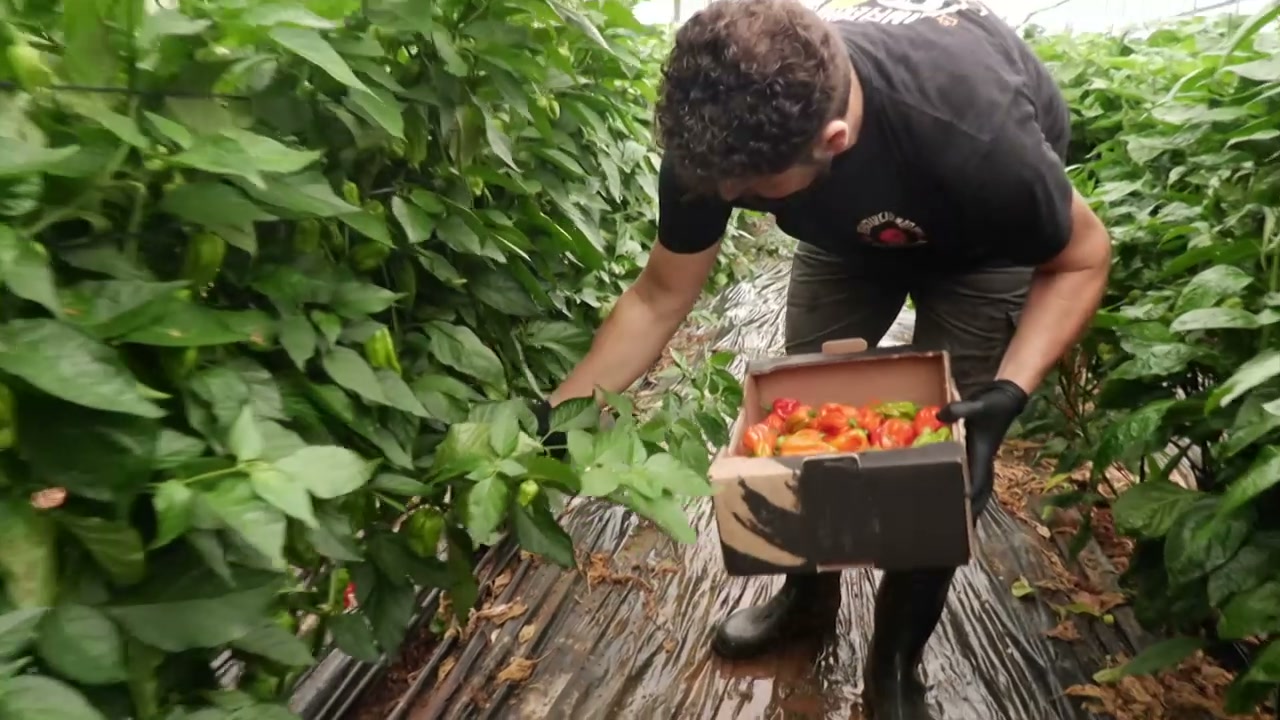 Cometelo | Canal Sur