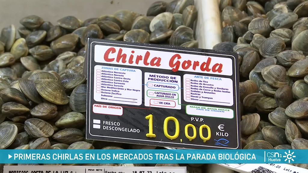 La chirla del Golfo de Cádiz vuelve a los mercados tras cinco meses de ...