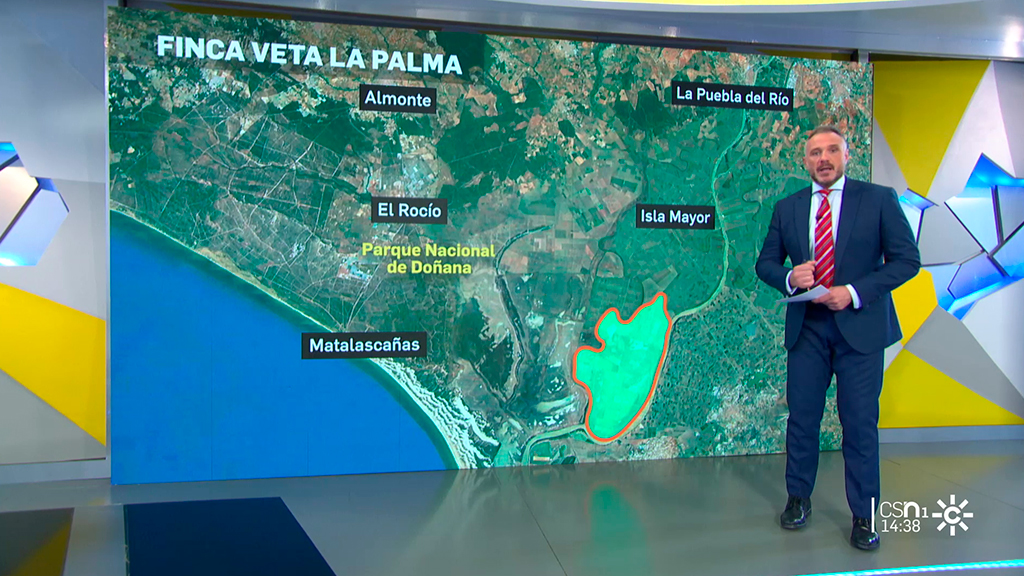 Veta la Palma, un oasis para las aves acuáticas