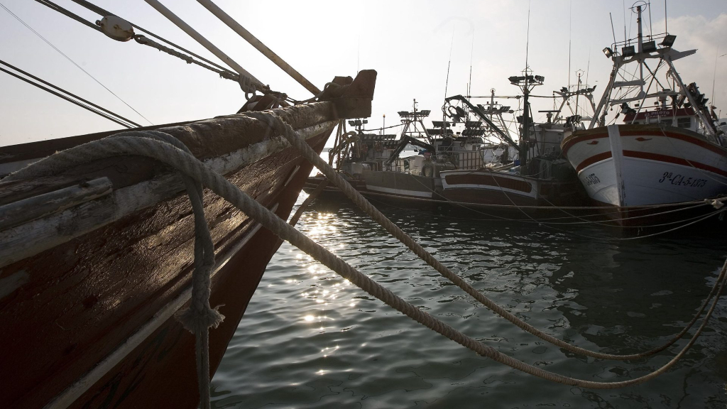 Incertidumbre en el sector pesquero por el recorte de la pesca del ...
