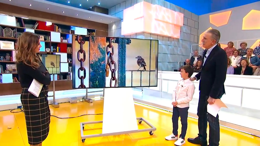 La tarde, aquí y ahora | Alberto Román, de 9 años de Ubrique, premio ...