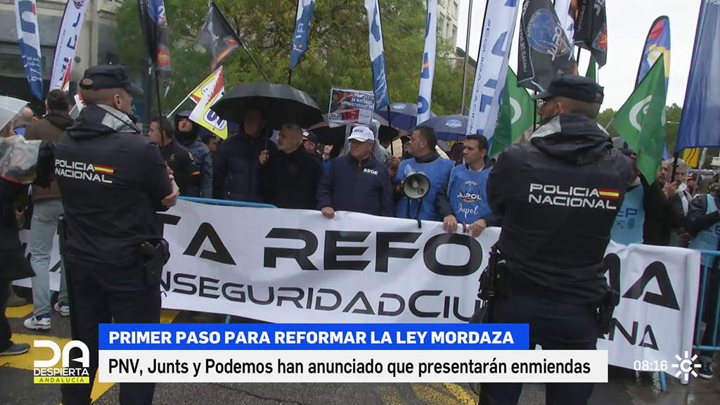 Las Cortes emprenden la reforma de la Ley Mordaza tras casi una década ...