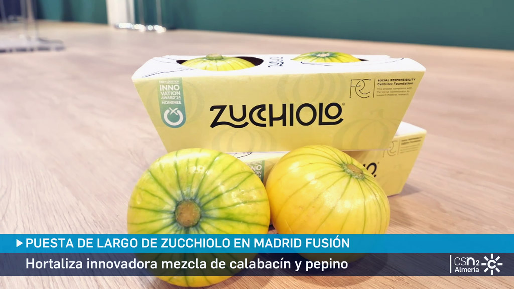 Puesta de largo del zucchiolo, la nueva hortaliza del campo almeriense ...