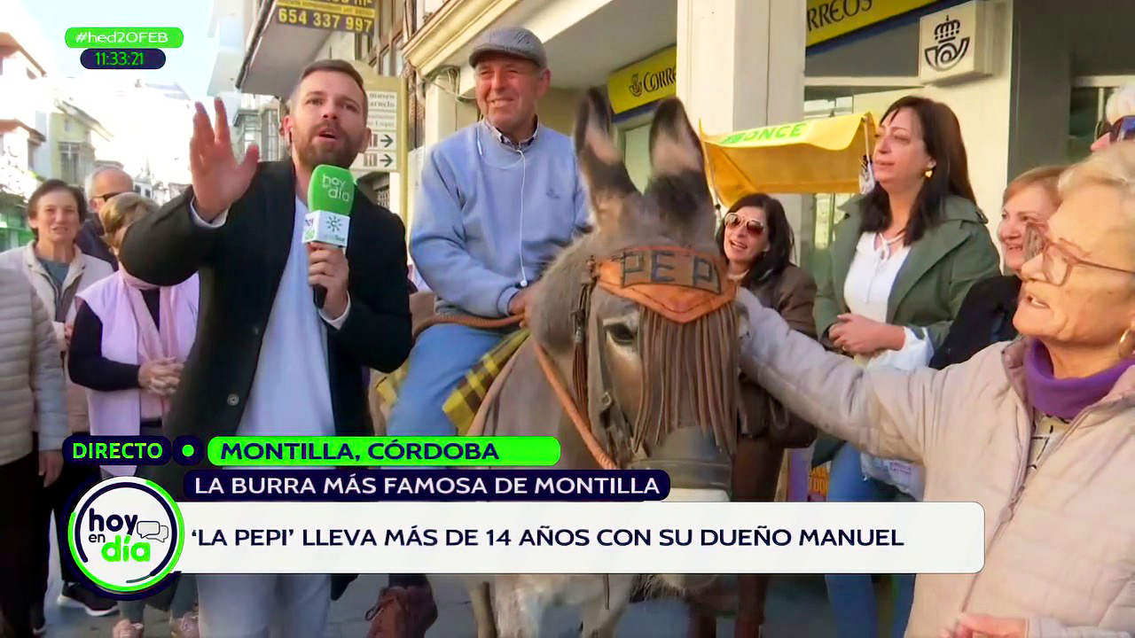 Hoy en día | Pepi, la burra más popular de Montilla