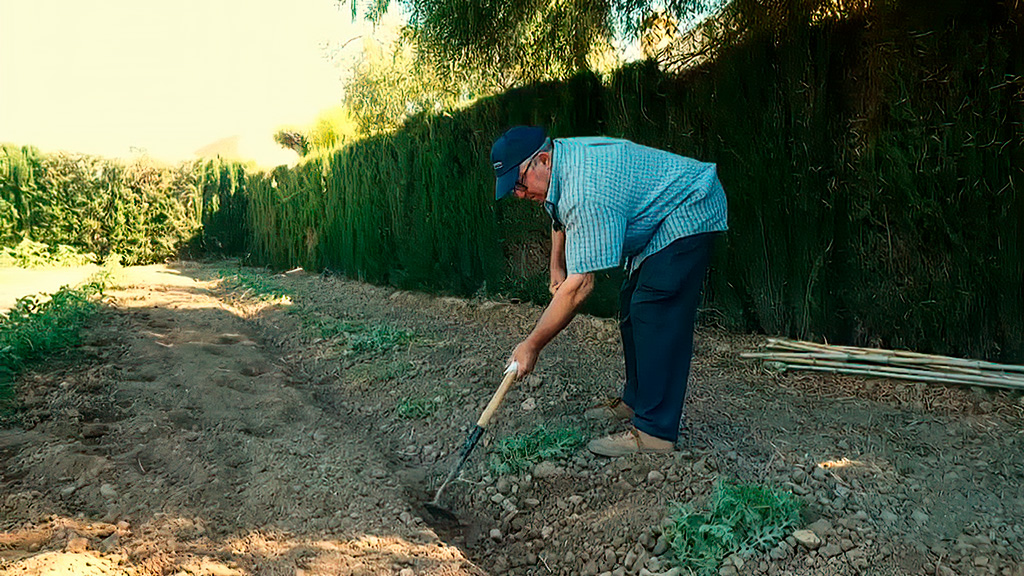Cometelo | Canal Sur