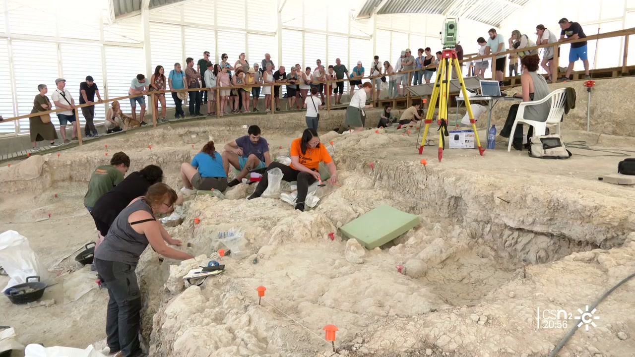 Nuevos hallazgos en los yacimientos de Orce