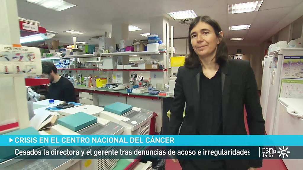 Cesada la directora del Centro nacional del cáncer tras las denuncias ...