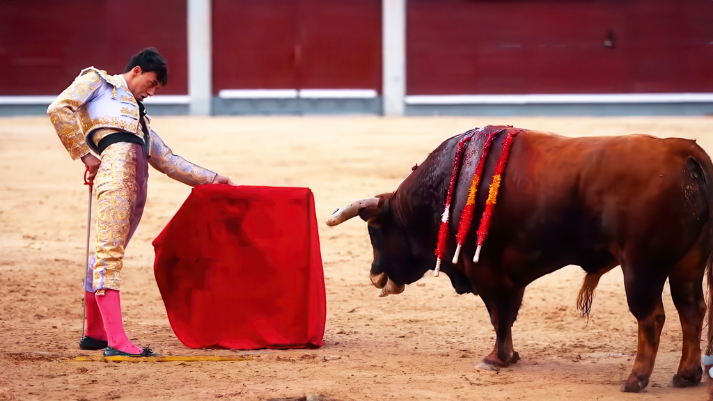 Toros para todos | El sueño de un novillero, salir por la Puerta Grande ...