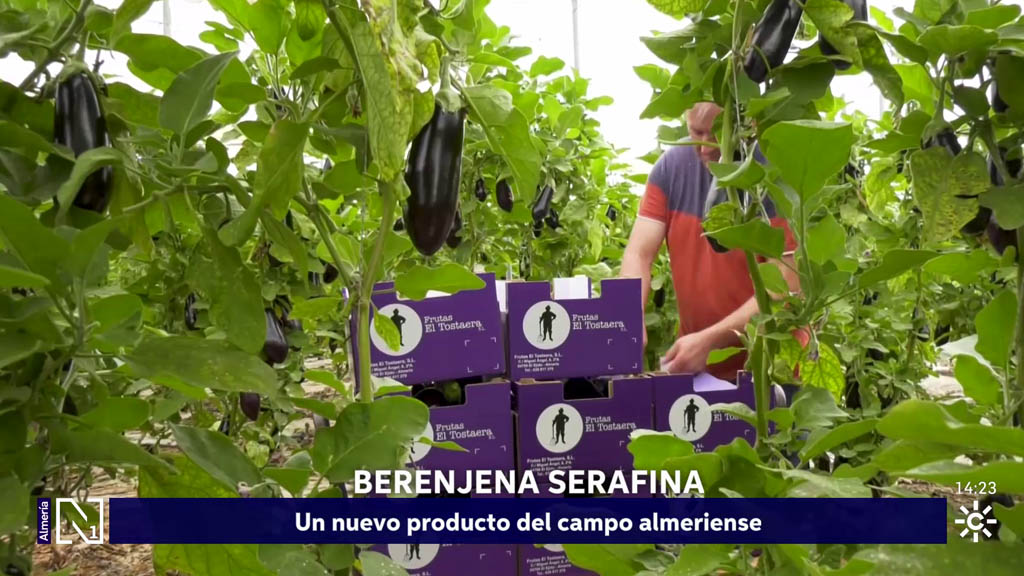 Cinco años del caso Julen, el niño cuyo trágico rescate de un pozo de ...