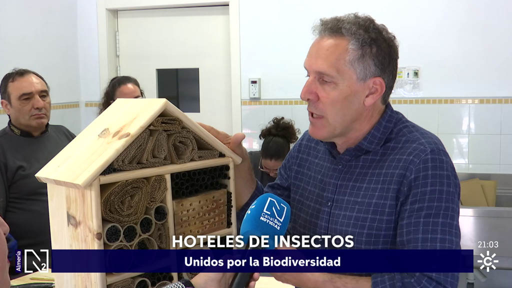 Hoteles de insectos en Almería que nacen de las manos de personas con ...