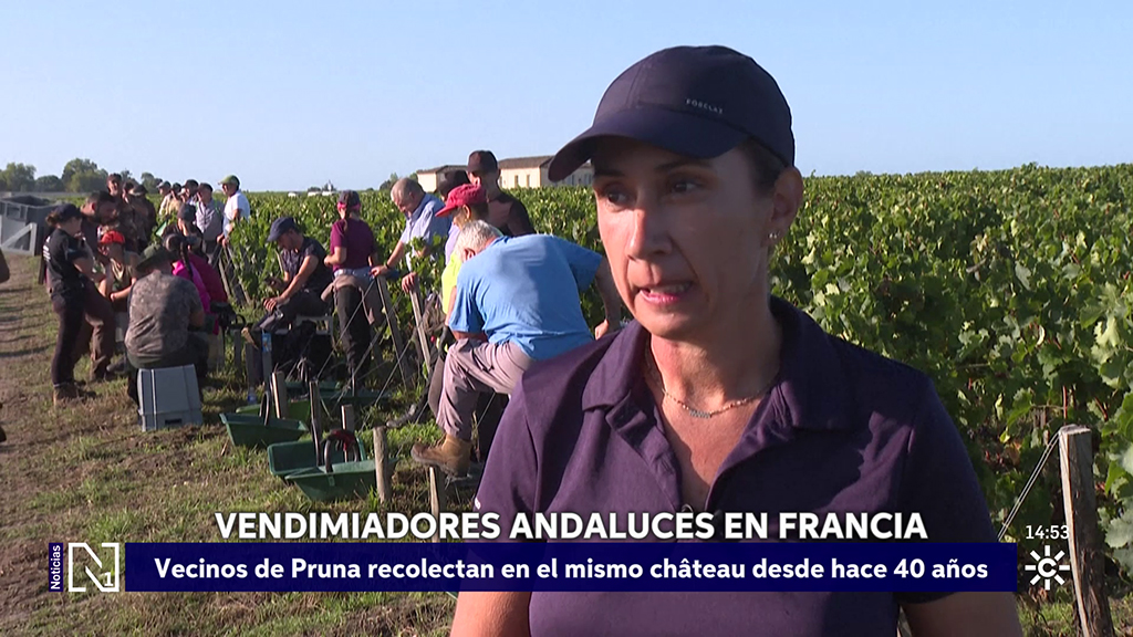 Cinco años del caso Julen, el niño cuyo trágico rescate de un pozo de ...